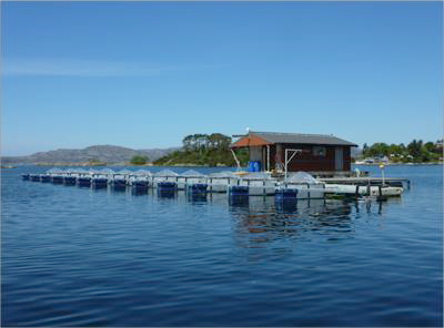 UiB Mesocosm Centre (University of Bergen Mesocosm Centre) – Mesocosm