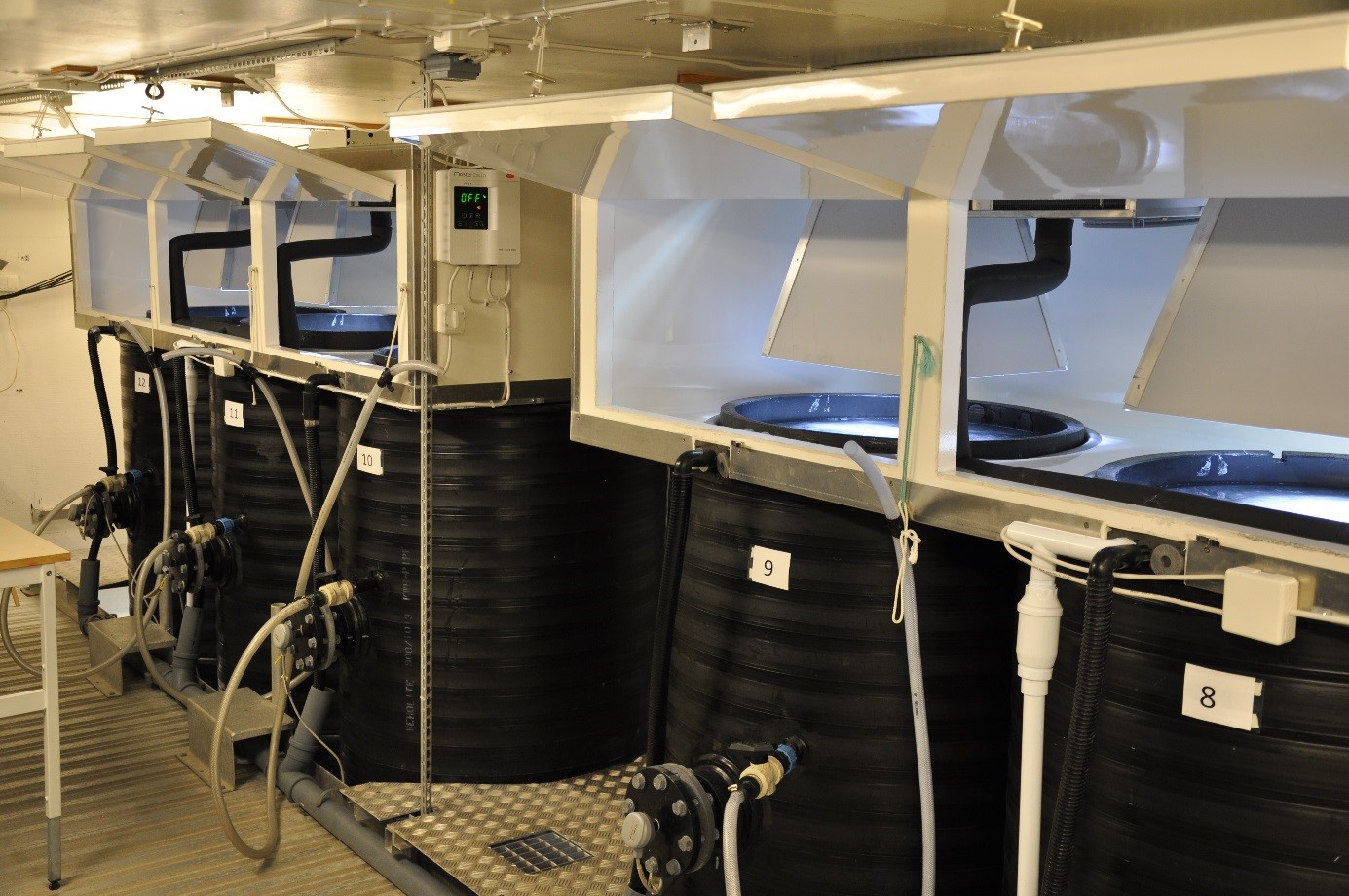 Mesocosm Facility at Umeå Marine Sciences Center (MF-UMSC) – Mesocosm
