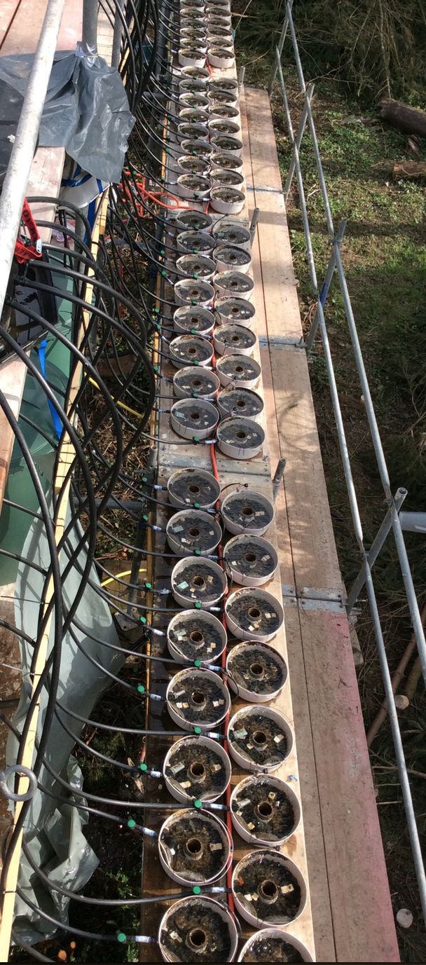 ExStream System Germany – Mesocosm