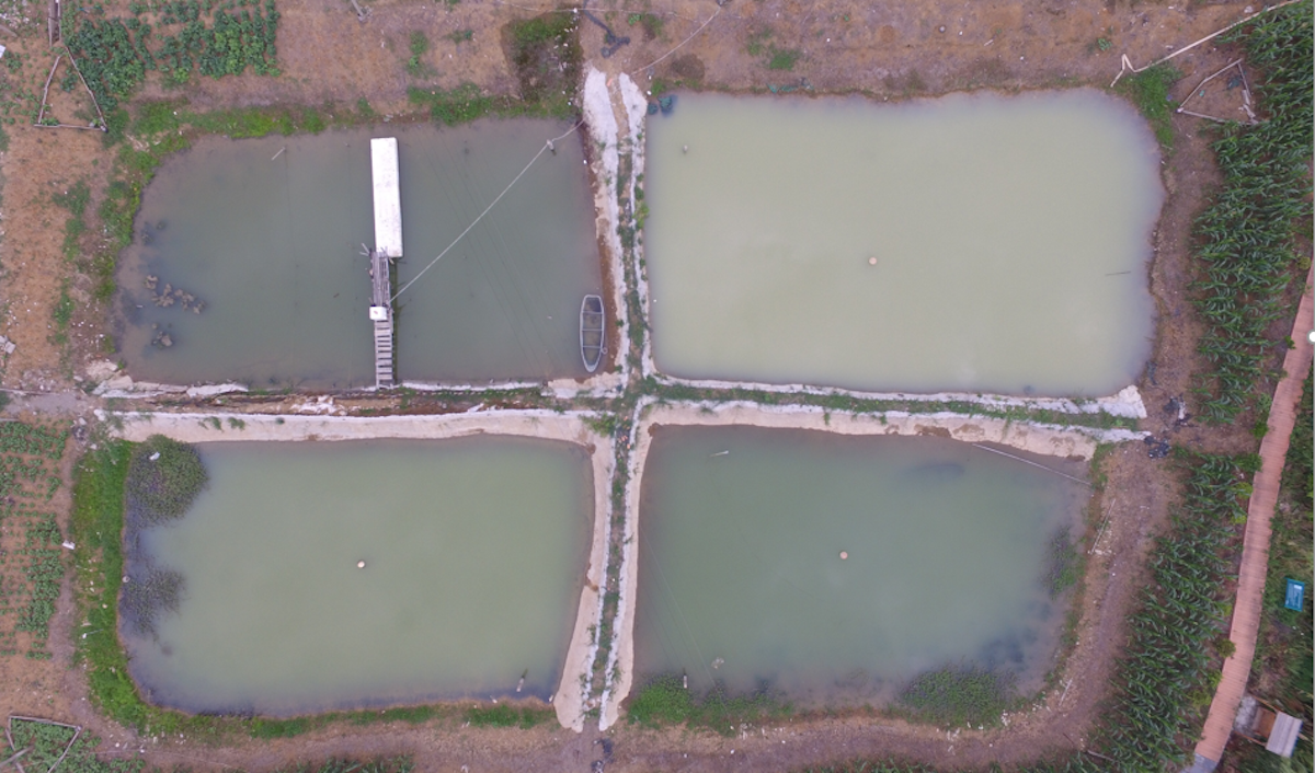 Lake Bao’an Field Station of Experimental Limnological Research – Mesocosm