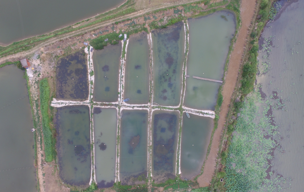 Lake Bao’an Field Station of Experimental Limnological Research – Mesocosm