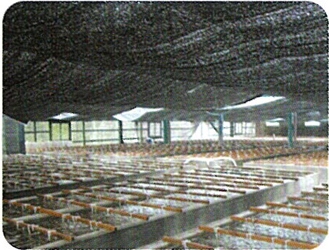 Yeosu Mesocosm System – Mesocosm