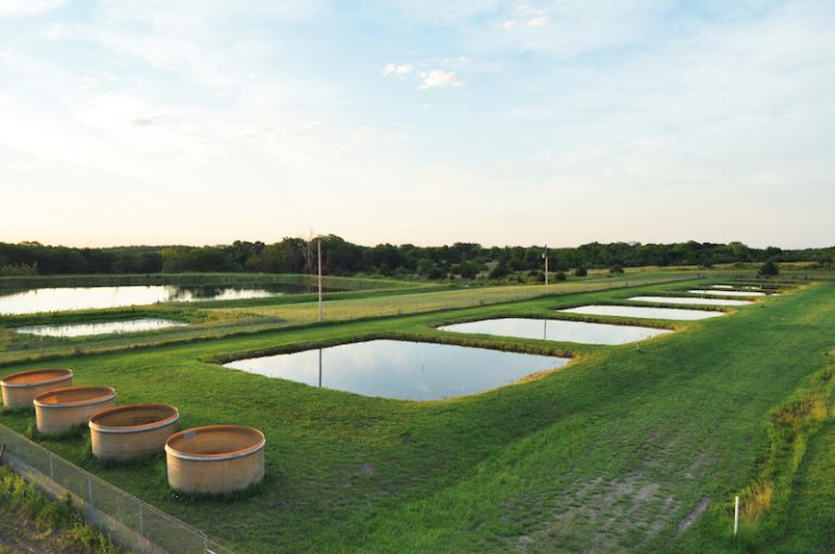 Aquatic Research Facility at the University of Kansas Field Station ...