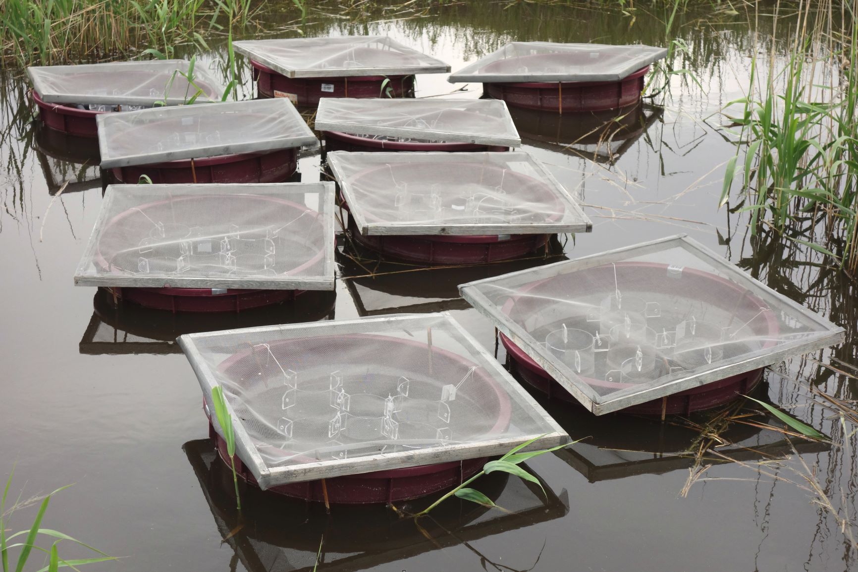 CER Mesocosms – Mesocosm