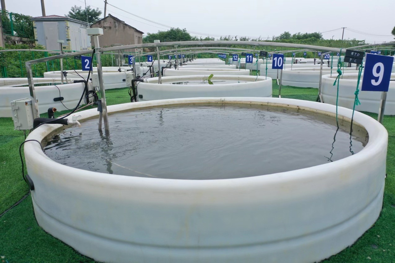 Smart Ecolake – Mesocosm